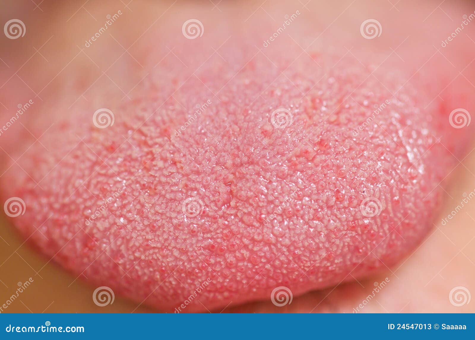 Tongue stock image. Image of macro, detailed, shallow - 24547013