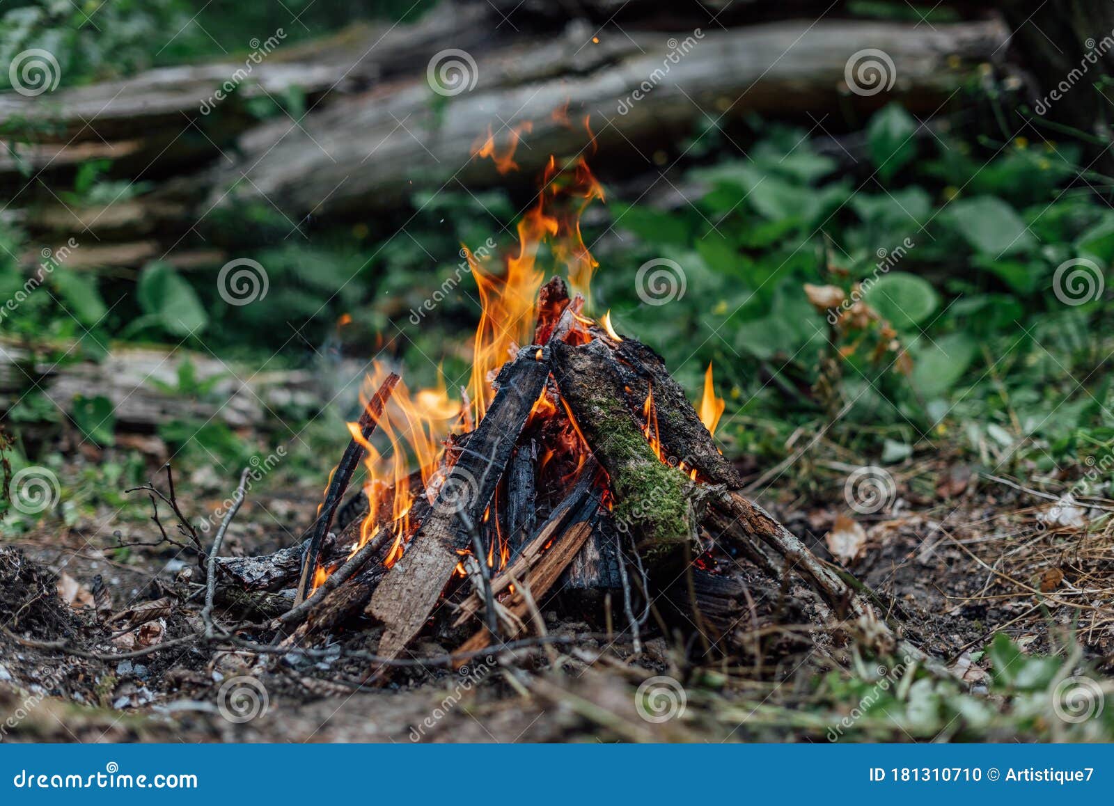 Tongues of Flame of Small Bonfire Stock Photo - Image of button, fuel ...