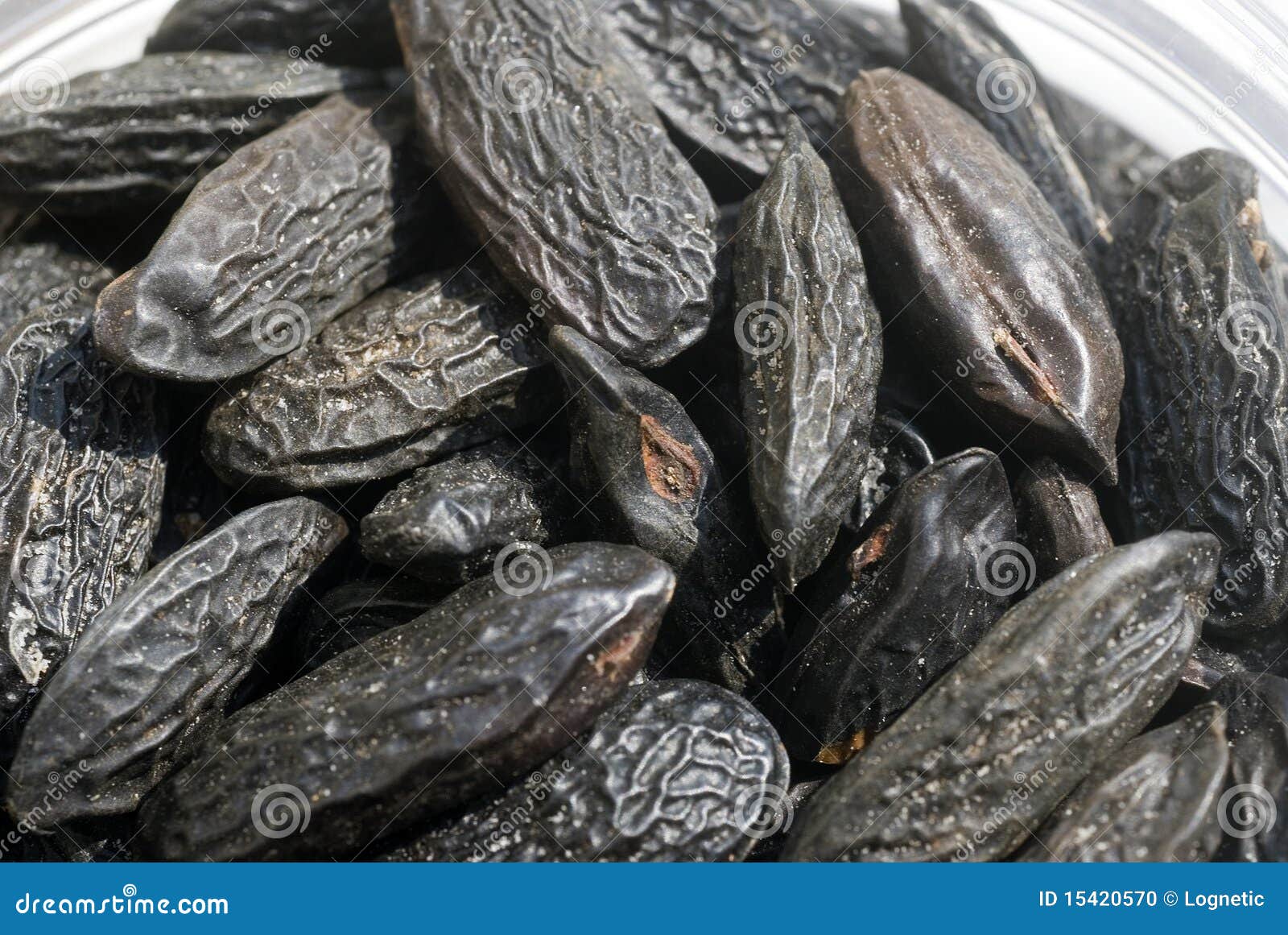 Tonka beans stock photo. Image of seed, diet, agriculture - 15420570