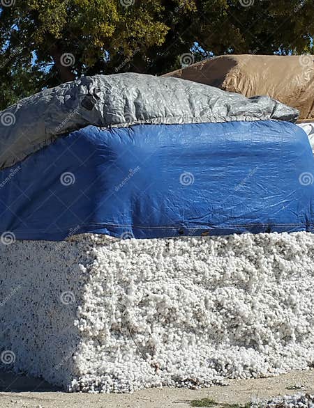 Tons of cotton stock photo. Image of processed, dock - 102769940