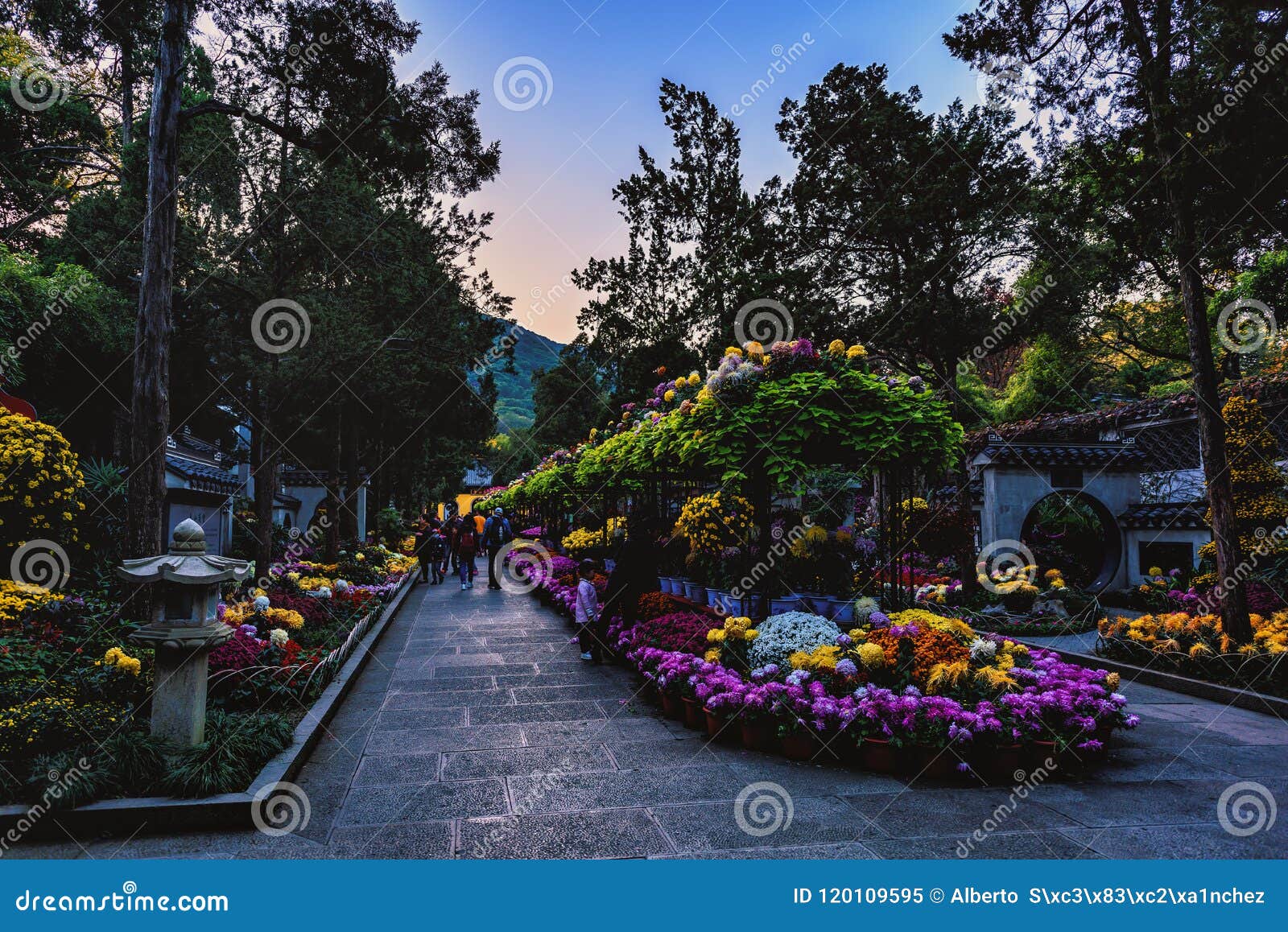 A Flower Train editorial image. Image of garden, bush - 120109595