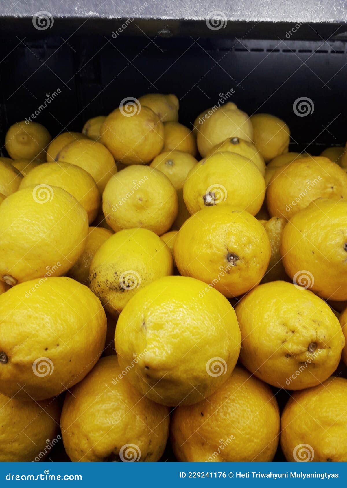 Tons of Fresh Lemon on the Fruit Rack Stock Photo - Image of lemon ...