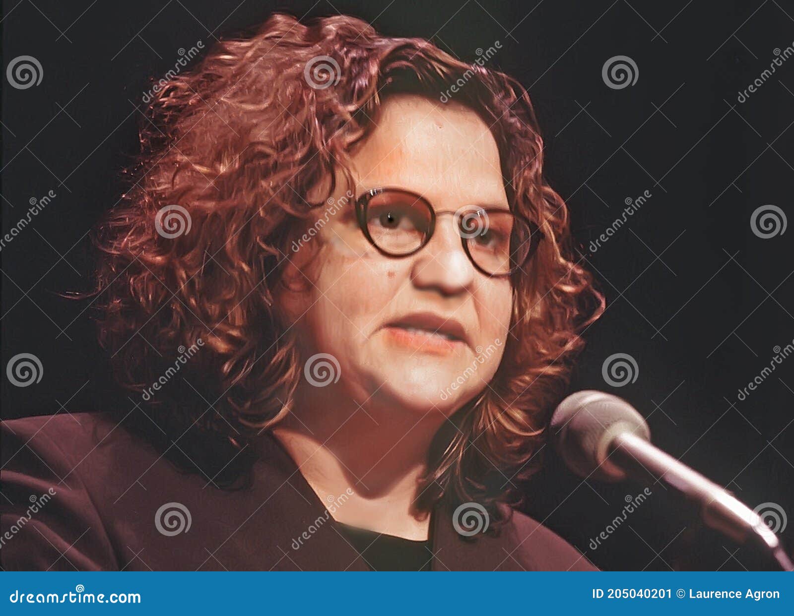Wendy Wasserstein Lectures in New Jersey Editorial Photo - Image of ...