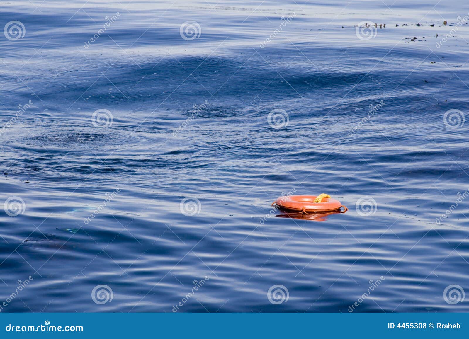 Too Late... stock photo. Image of help, blue, gone, copyspace - 4455308