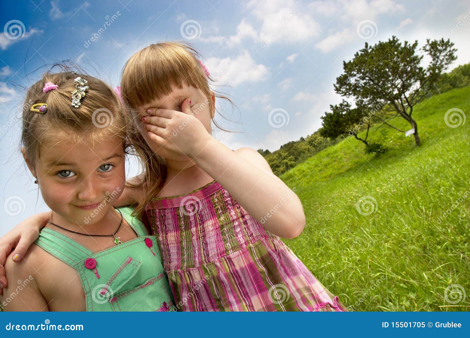 Too much bright light stock image. Image of palm, outdoor - 15501705