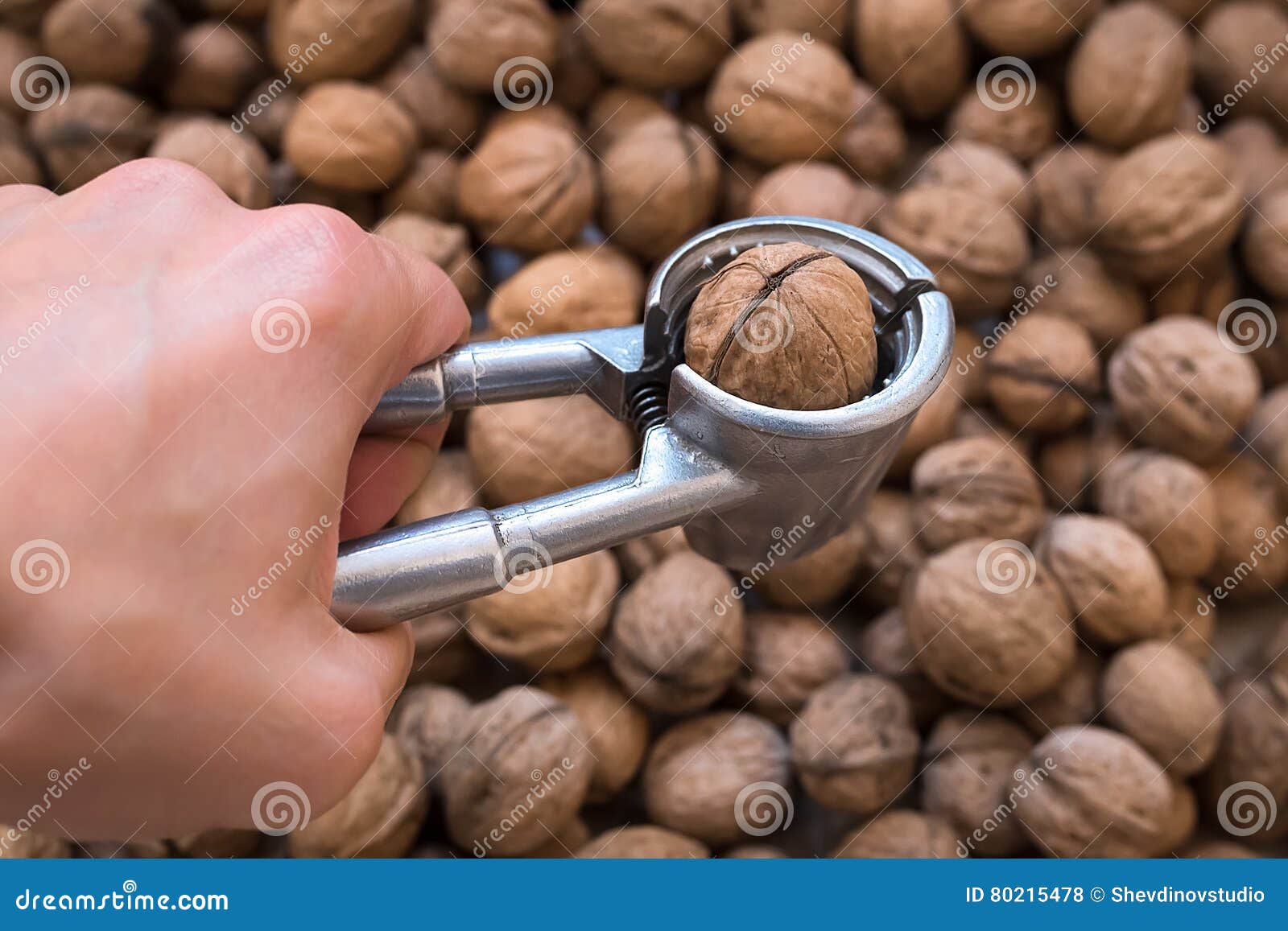 Tool for cracking walnuts stock photo. Image of grip - 80215478