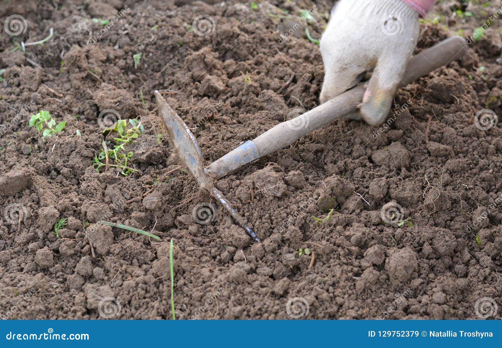 Tool Hoe in the Farmer Hand Work Stock Image - Image of farmer, brown ...