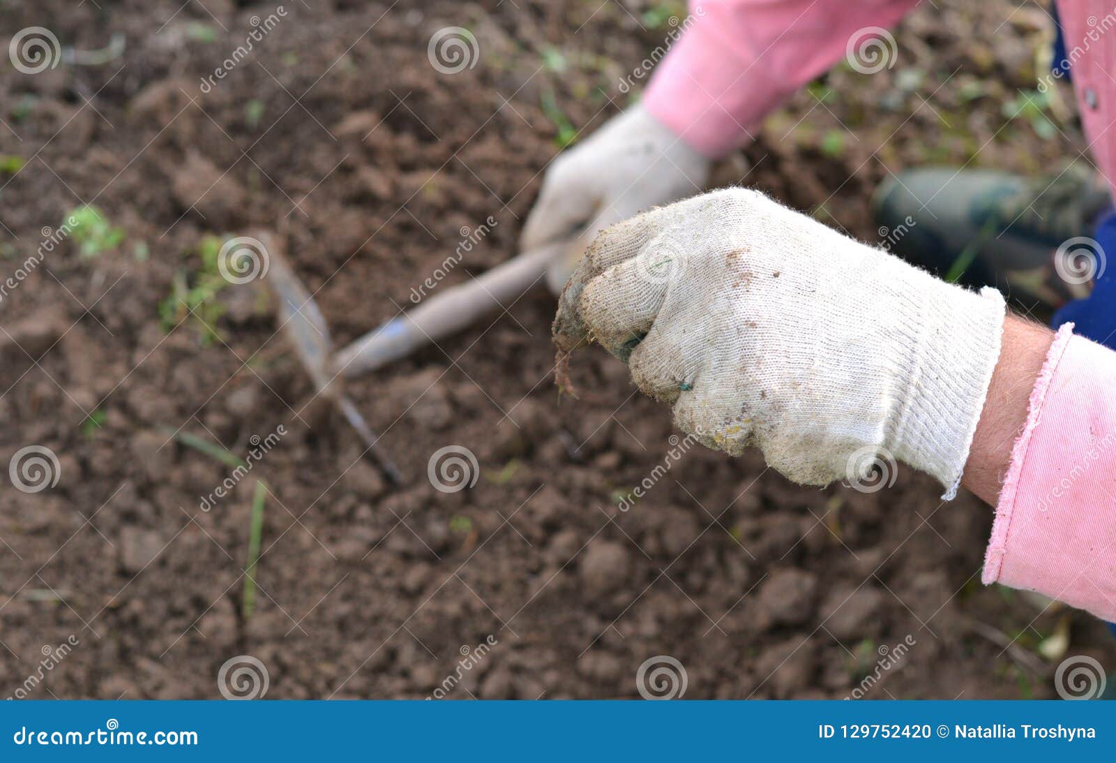 Tool Hoe in the Farmer Hands Work Stock Photo - Image of farmer, work ...