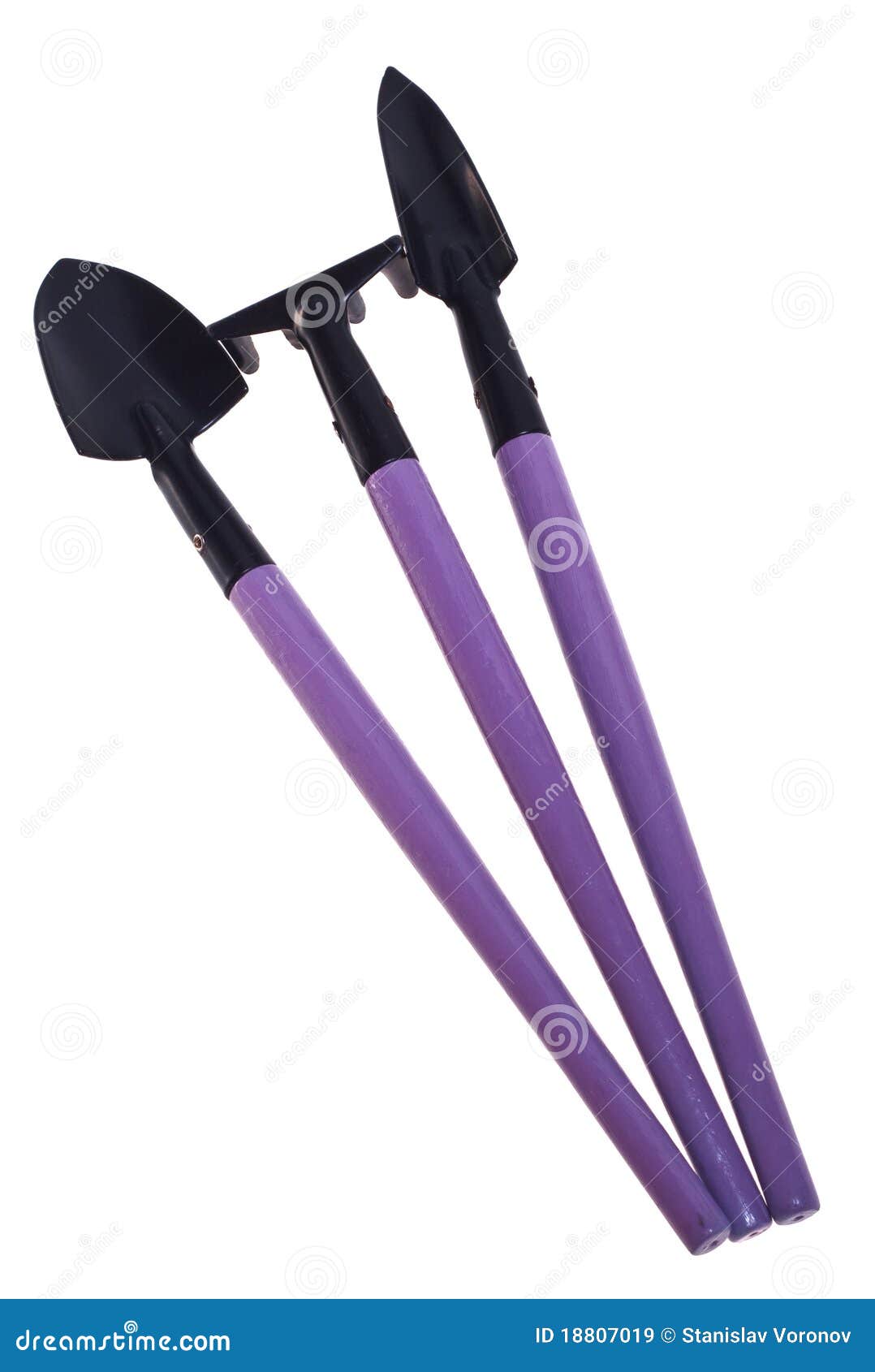 Tool Kit for Indoor Plants. Stock Image - Image of domestic, fork: 18807019
