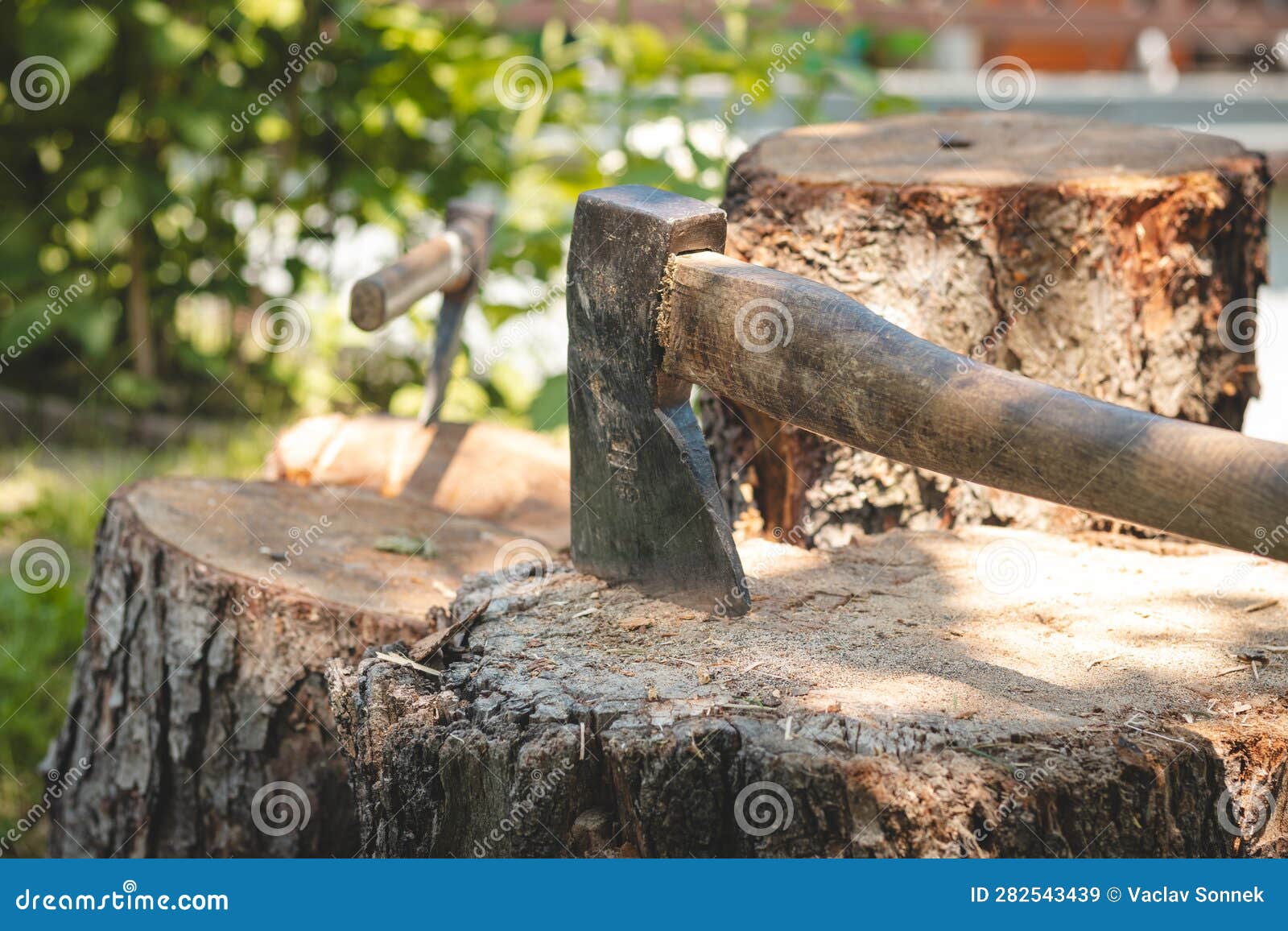 Tool for Splitting Wood Stuck in a Tree Stump. an Ancient, Homemade Axe ...