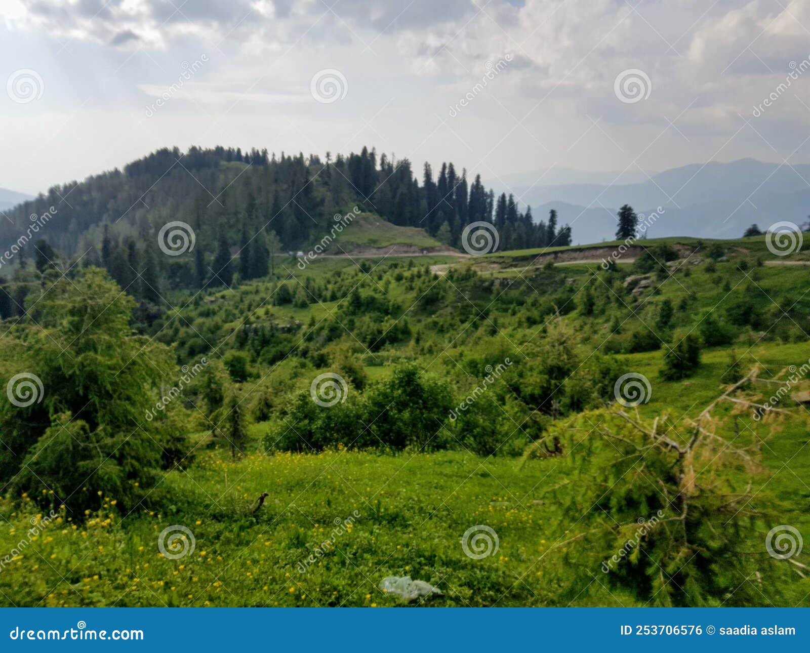 Tooli peer azad kashmir foto de stock. Imagem de grama - 253706576