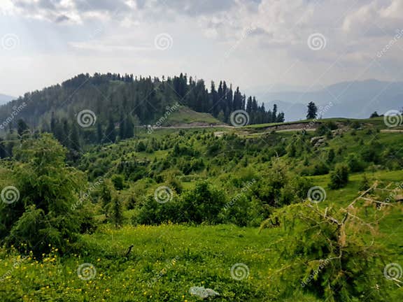 Tooli peer azad kashmir foto de stock. Imagem de grama - 253706576