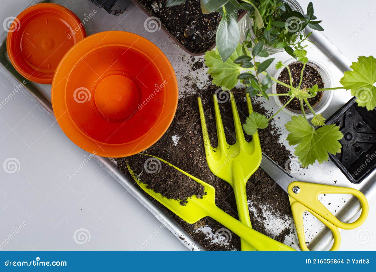 Tools and Accessories for Home Farming and Floriculture, Top View Stock ...