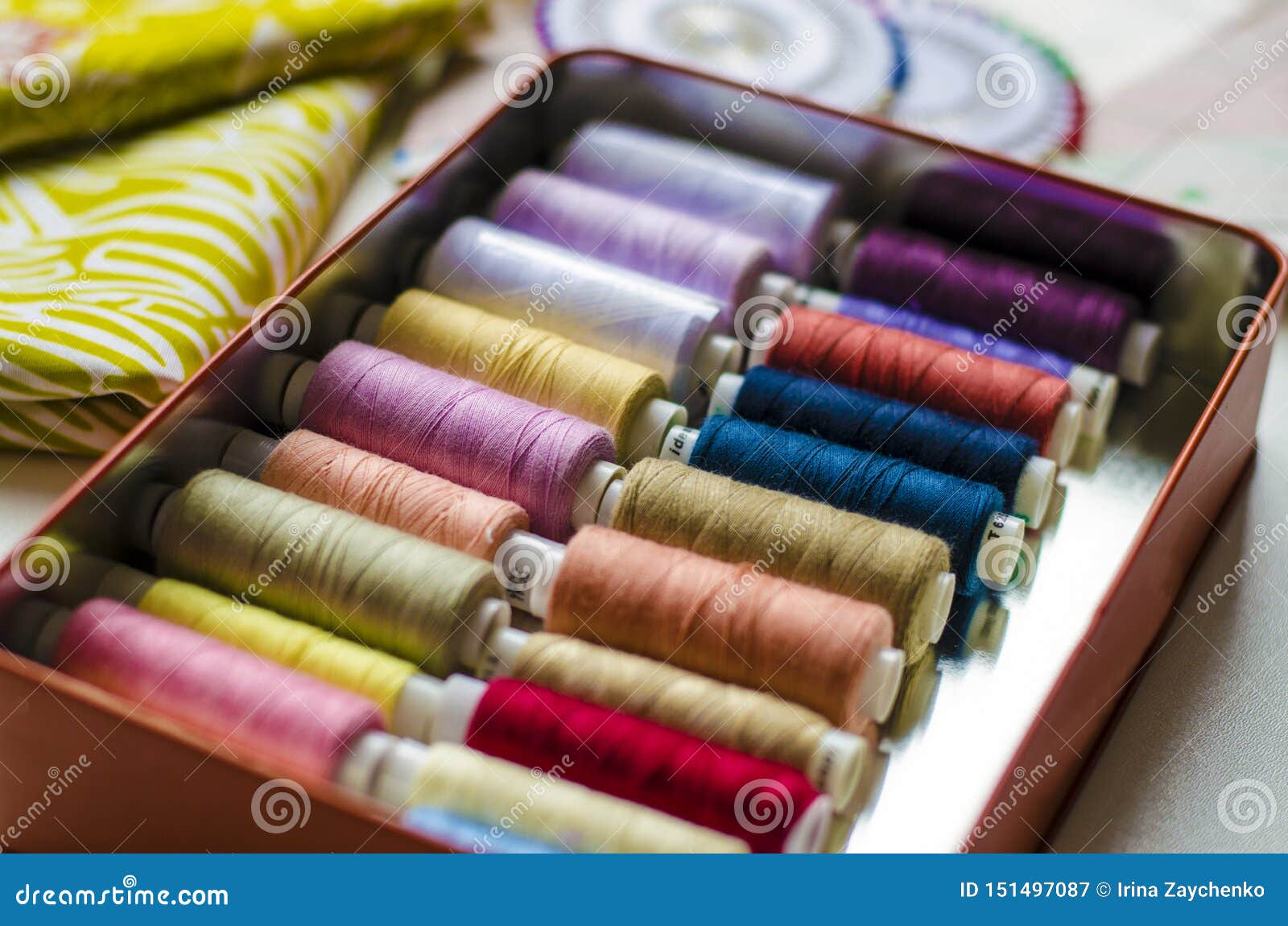 Preparation For Sewing. Seamstress Inserts Thread In Needle Of Sewing ...