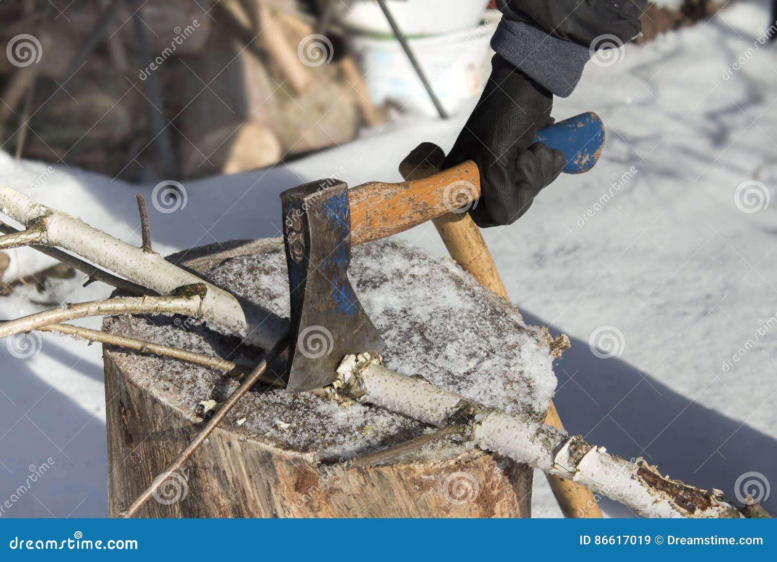 Tools for chopping trees, stock image. Image of stump - 86617019