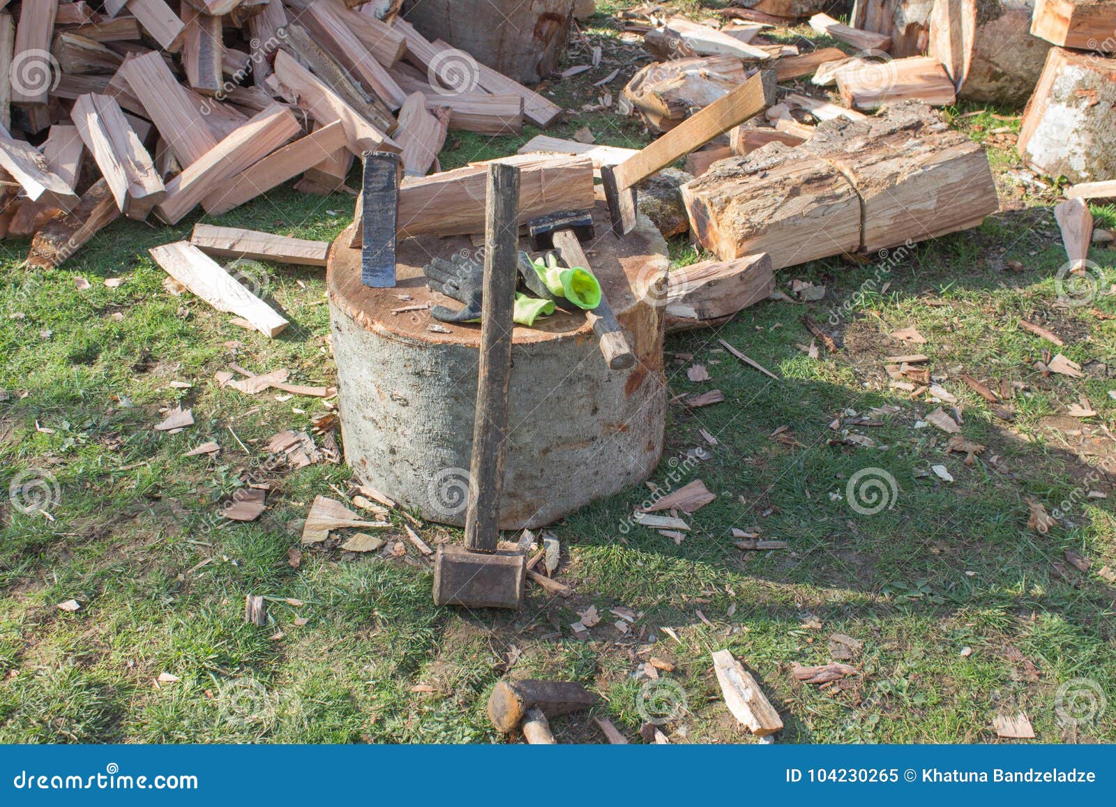 Tools for Chopping Trees. Device for Chopping Trees. Preparing Firewood ...