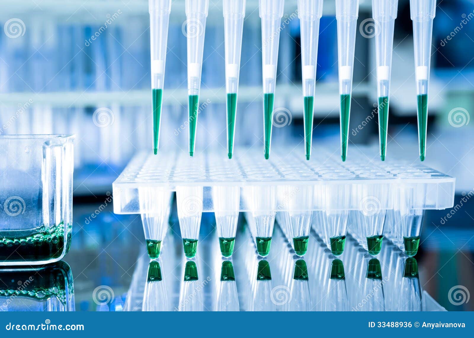 Tools for DNA analysis stock photo. Image of laboratory - 33488936