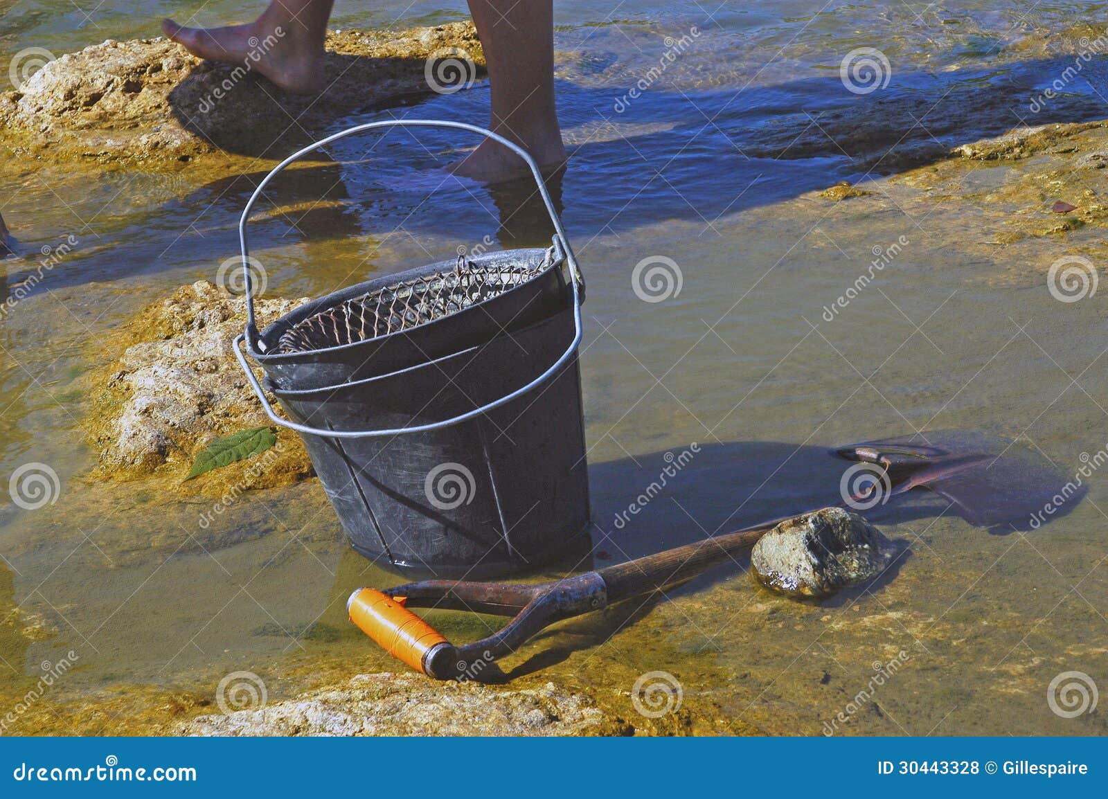 Tools of the gold washer stock photo. Image of tool, object - 30443328