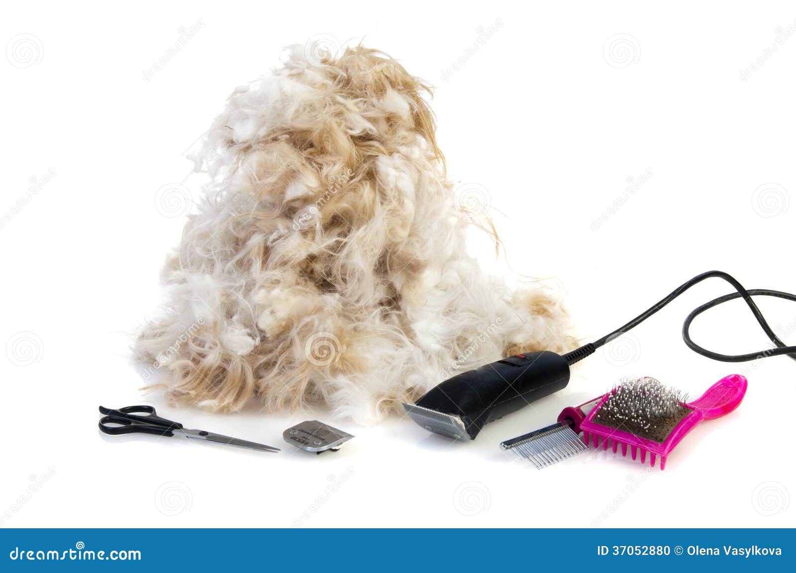 Tools for grooming the dog stock photo. Image of small - 37052880