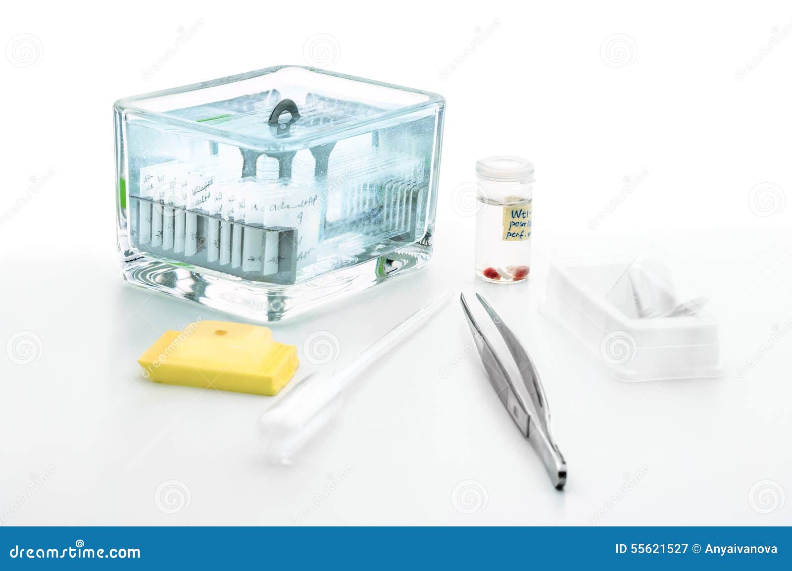 Tools For Histochemical Analysis Of Patient Tissue Stock Image - Image ...