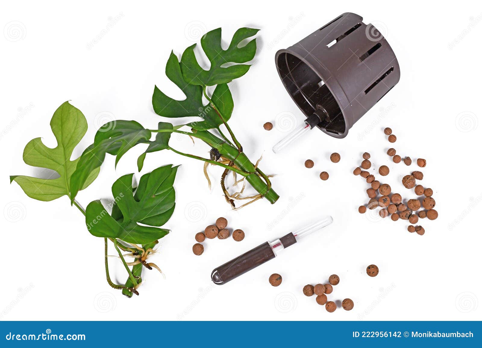 Tools for Keeping Houseplants in Passive Hydroponics System without ...