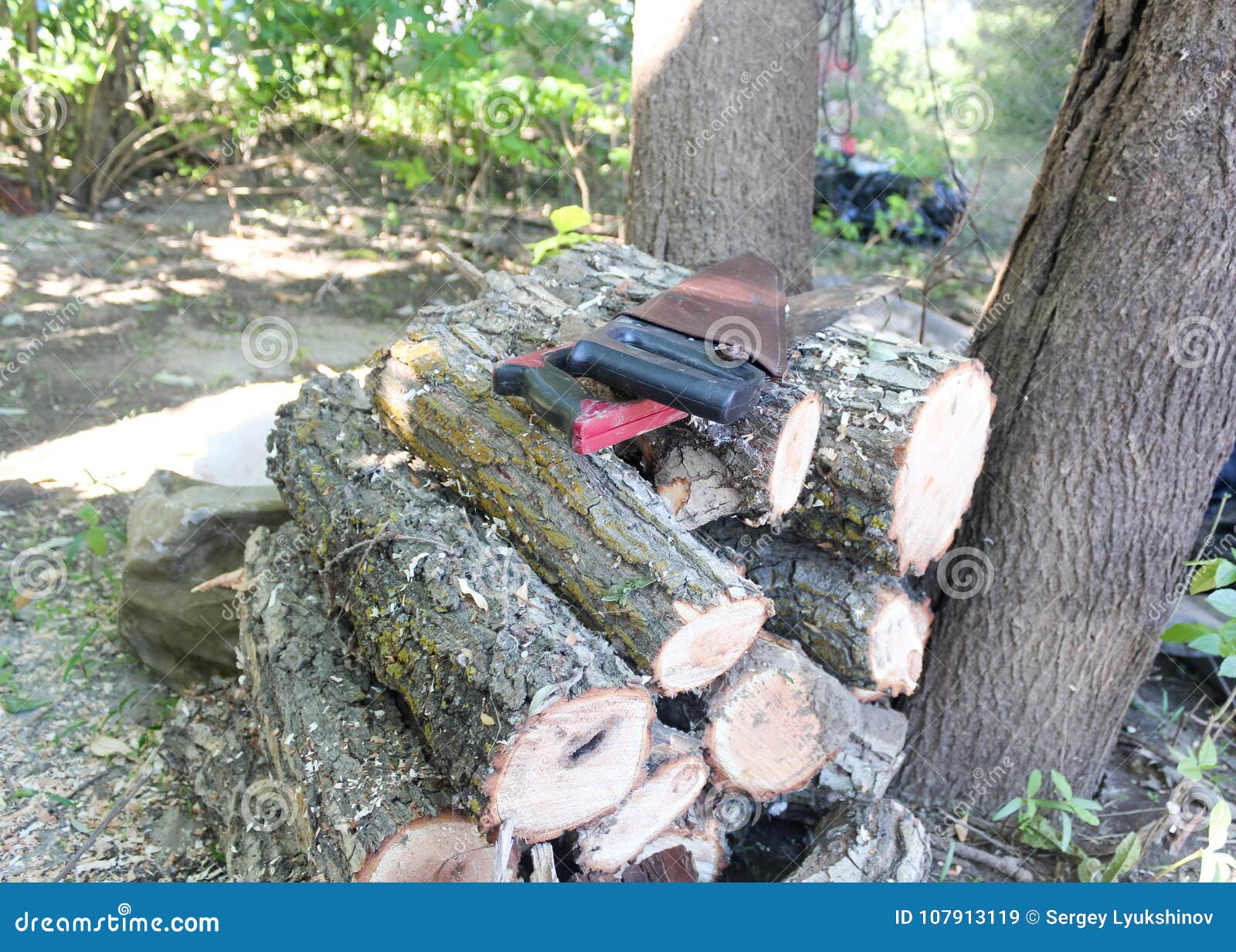 Tools lay on the logs stock image. Image of logs, tools - 107913119