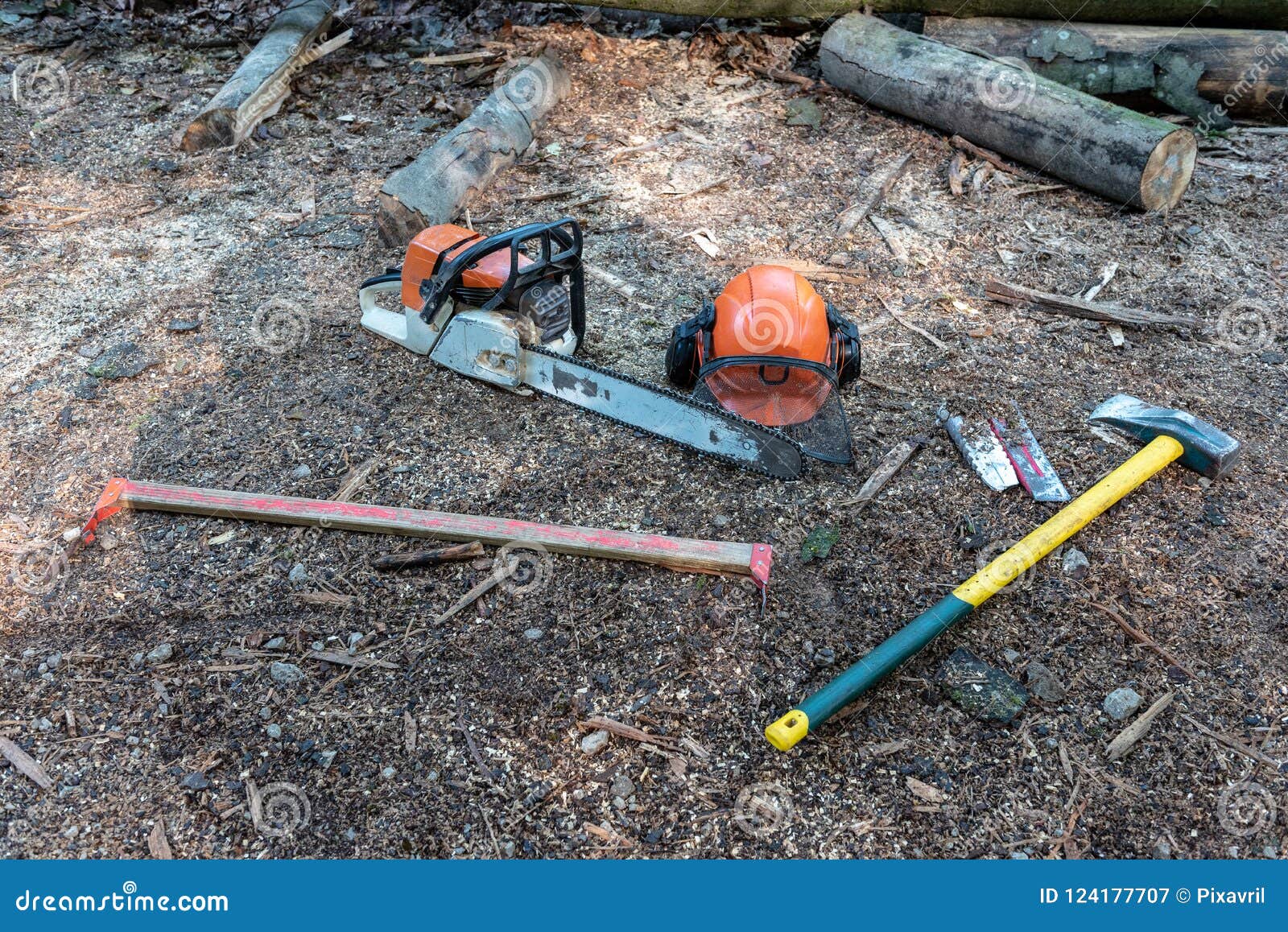 Tools of lumberjack stock image. Image of hand, professional - 124177707