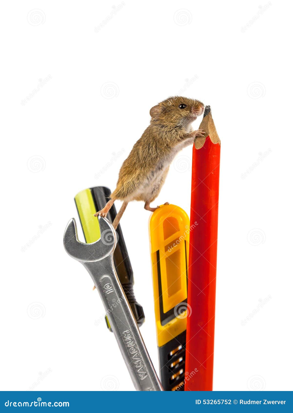 Tools With Mouse Stock Photo - Image: 53265752