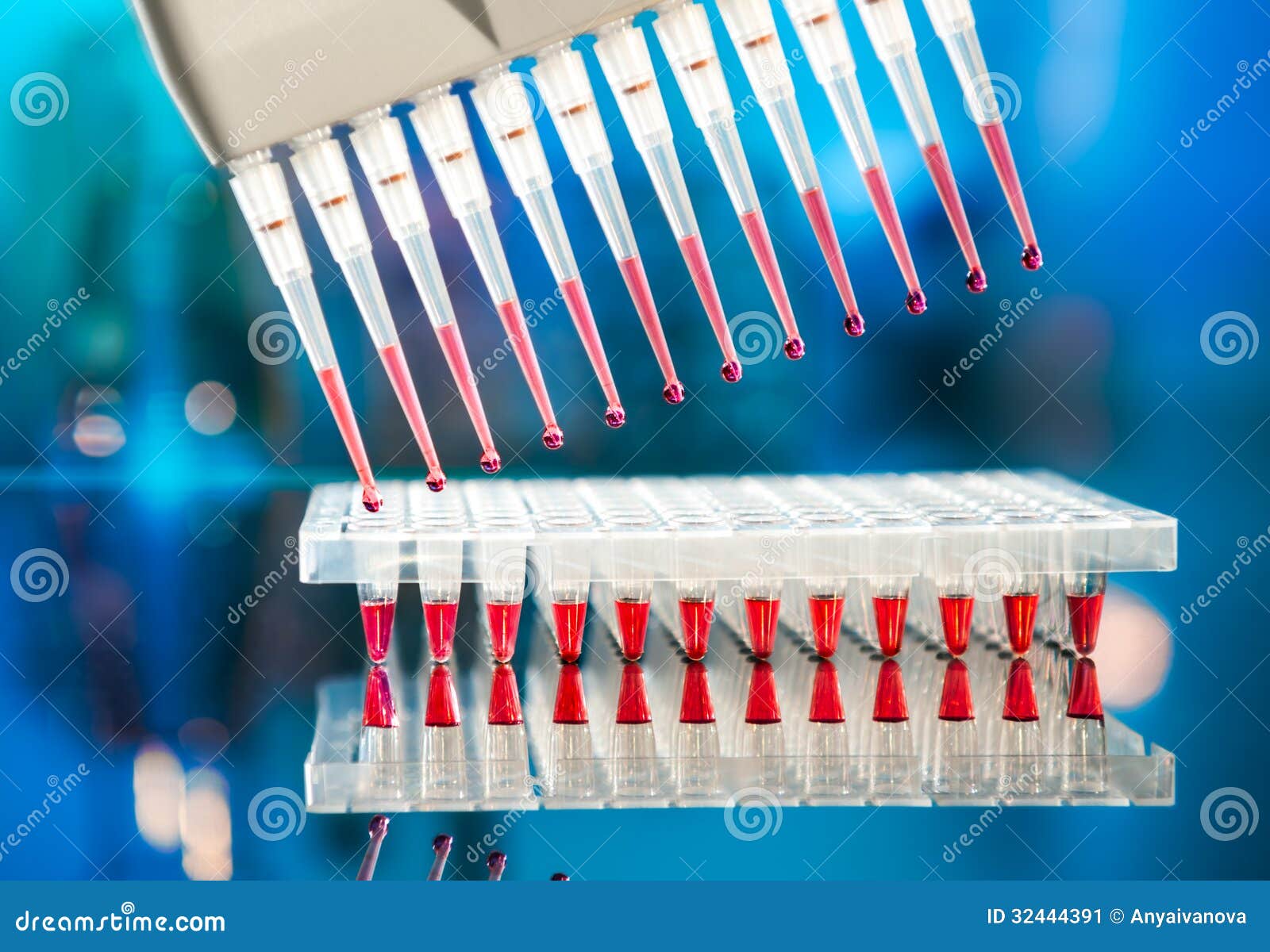 Tools for PCR Amplification of DNA Stock Image - Image of gilson, next ...