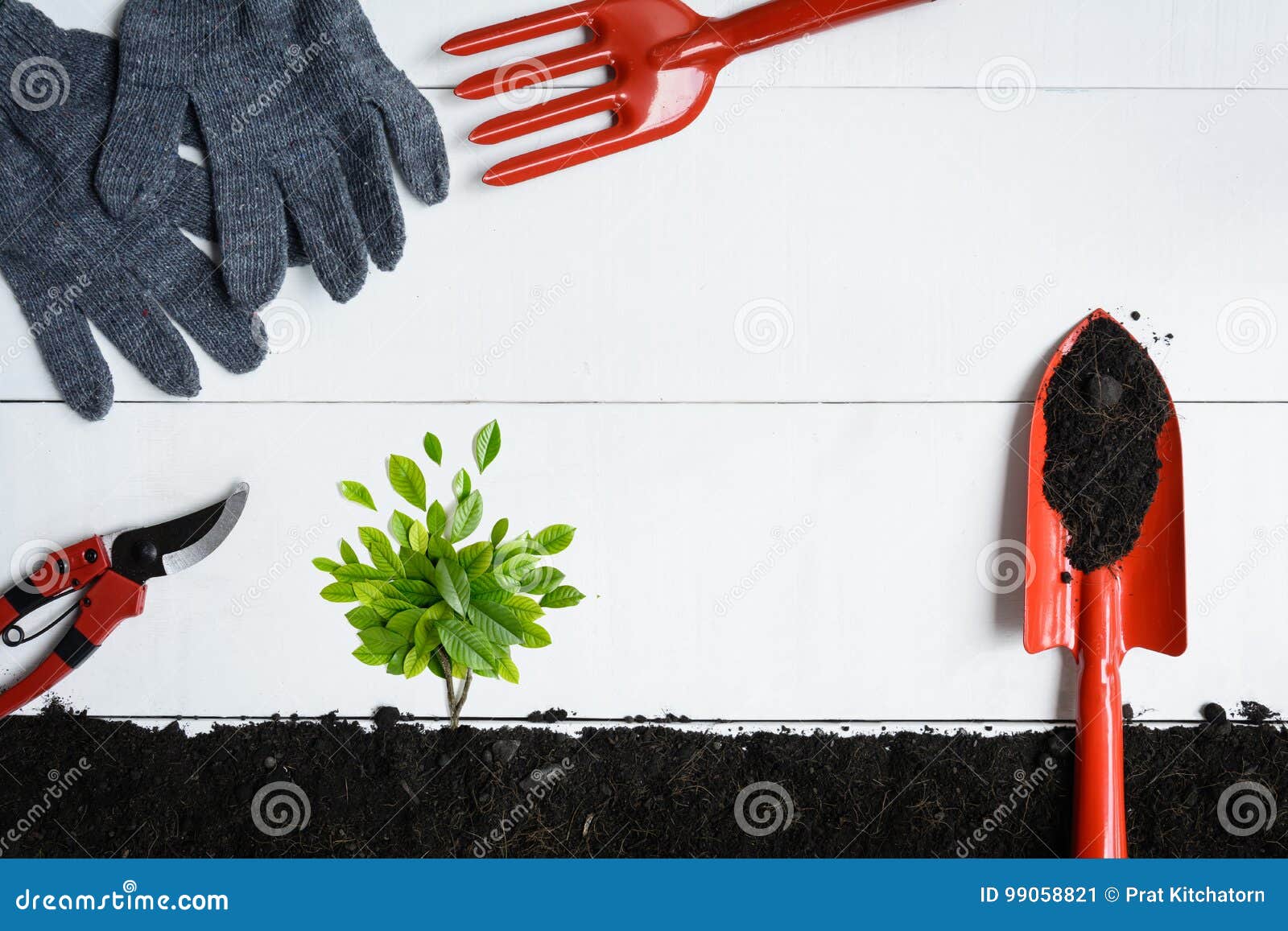 Tools on Planting a Black Tree on the Ground Stock Image - Image of ...