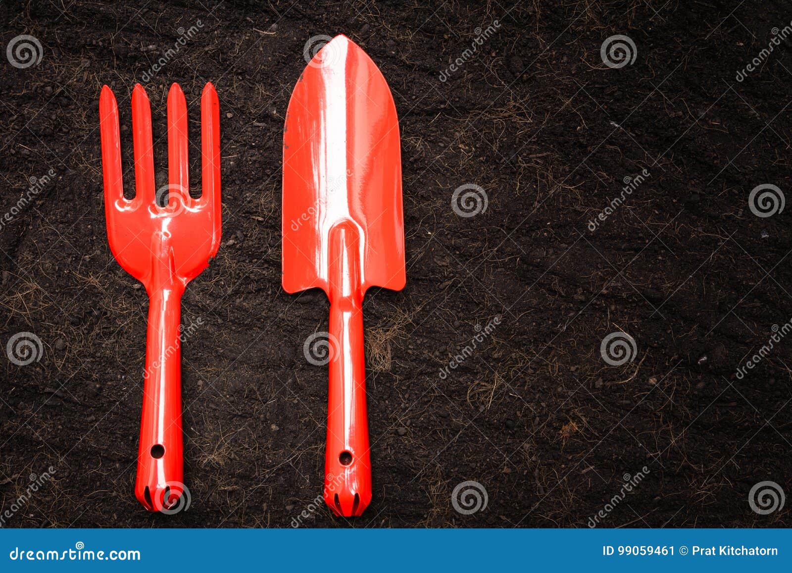 Tools on Planting a Black Tree on the Ground Stock Image - Image of ...