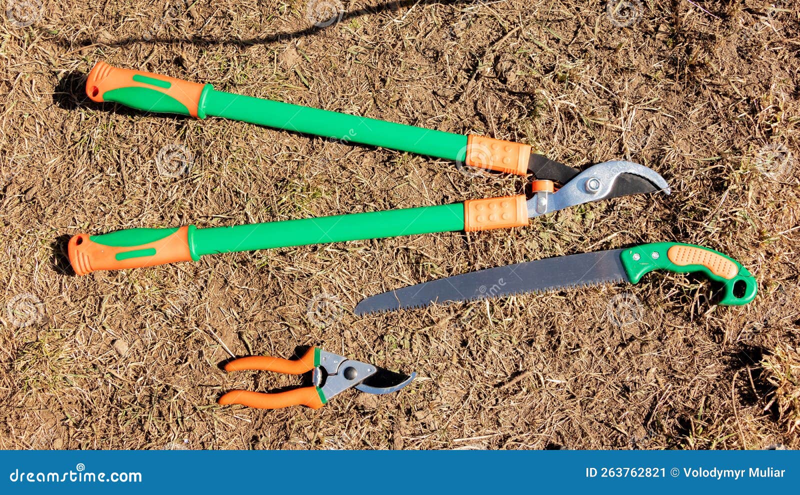 Tools for Pruning Trees and Bushes, a Saw, Large and Small Scissors, in ...