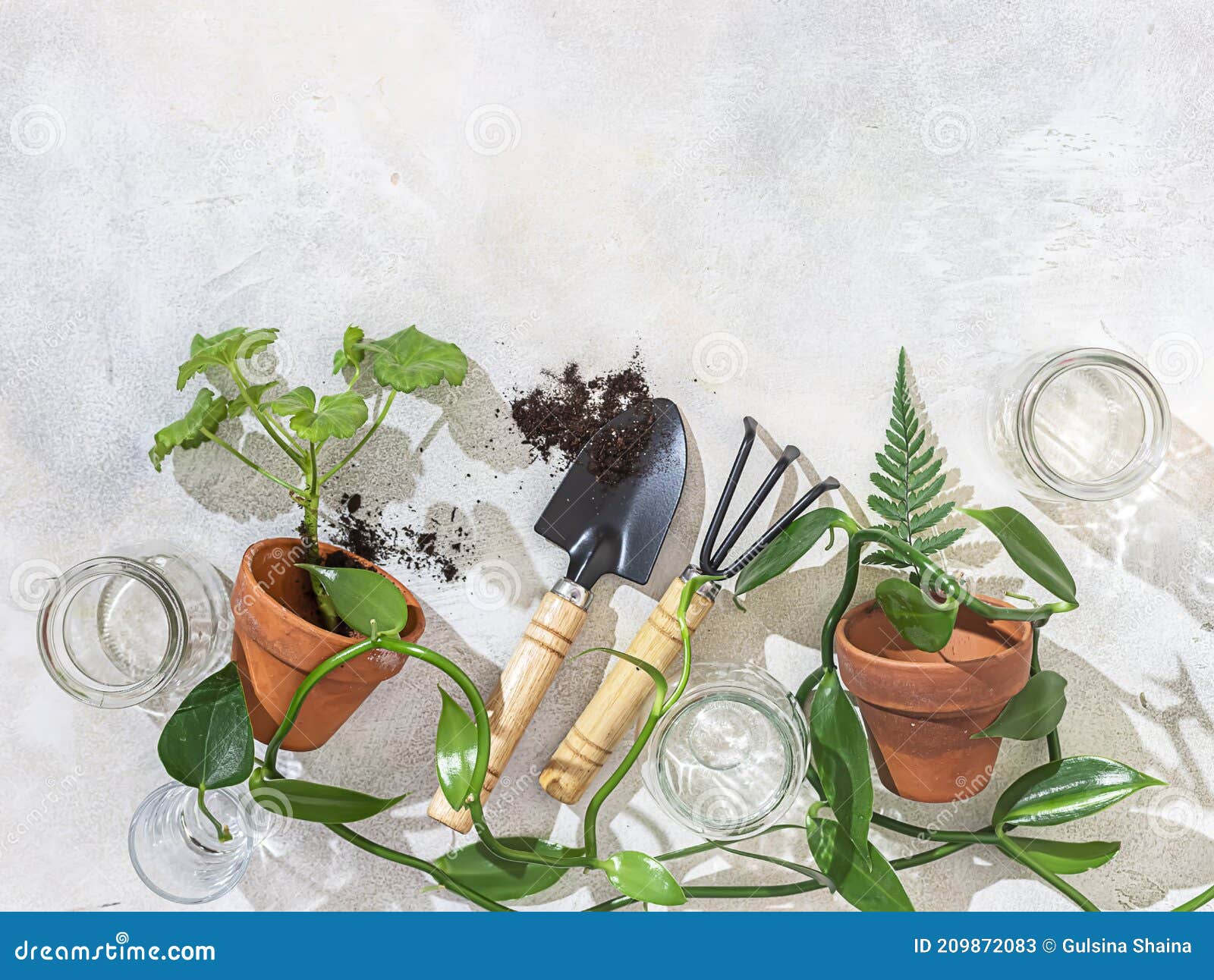 Tools for Repotting a Plant at Home. Gardening Home Stock Image - Image ...