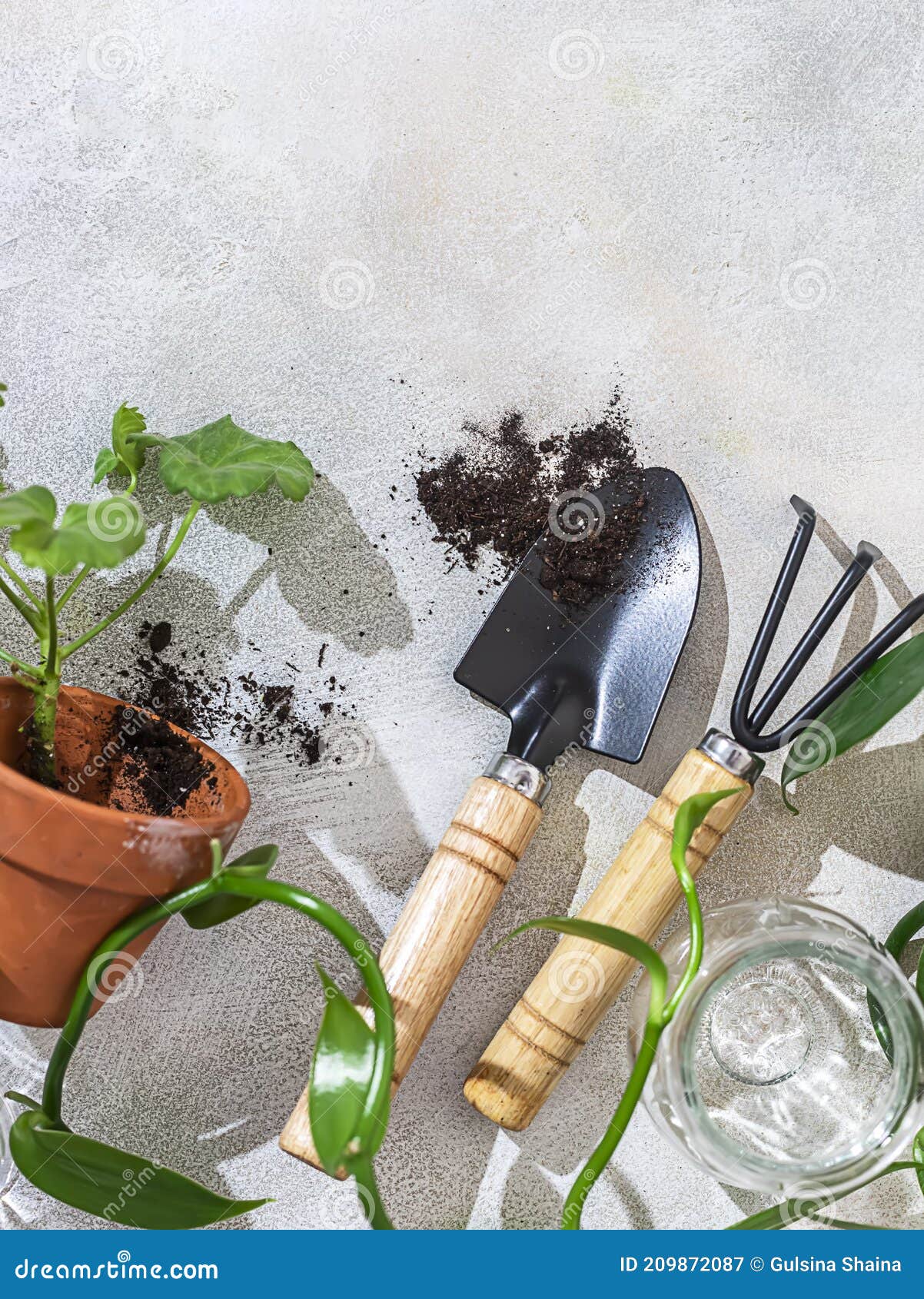 Tools for Repotting a Plant at Home. Gardening Home Stock Image - Image ...