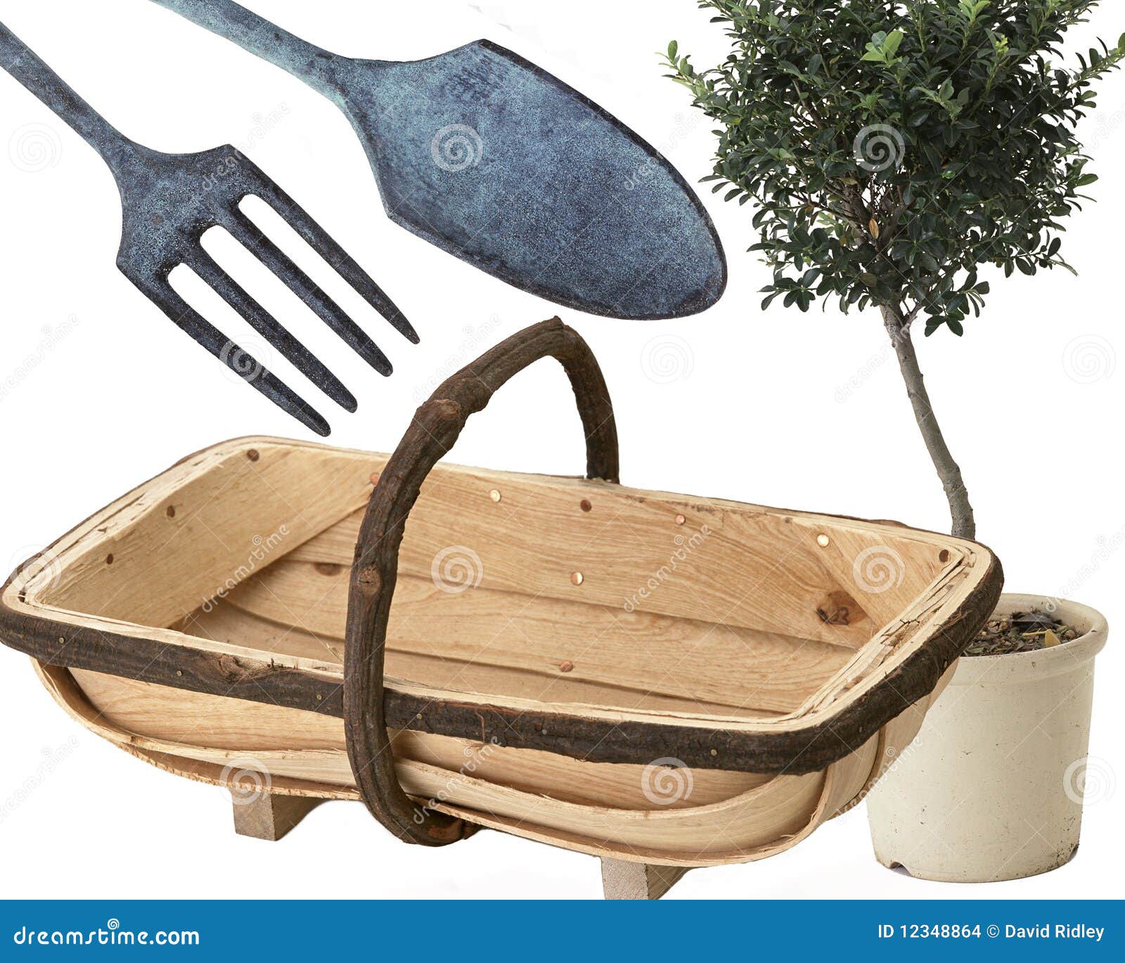 Tools and Trugg for Growing Your Own Produce Stock Photo - Image of ...