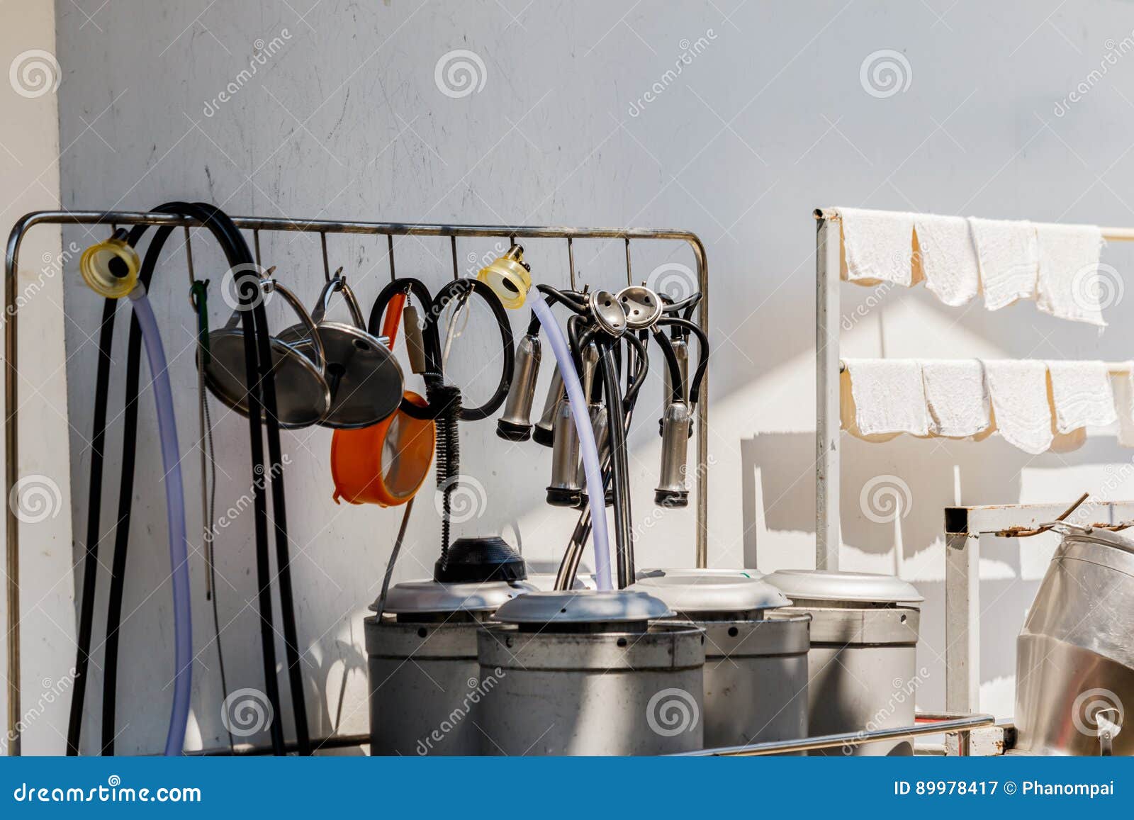 Tools used in cow`s milk. stock image. Image of bucket - 89978417