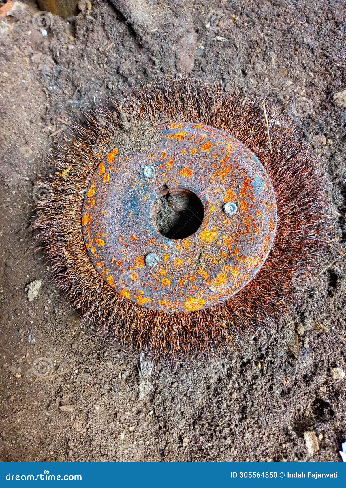 Tools, Wire Brush Polish Tools on the Ground, Rusty Wire Brush Stock ...