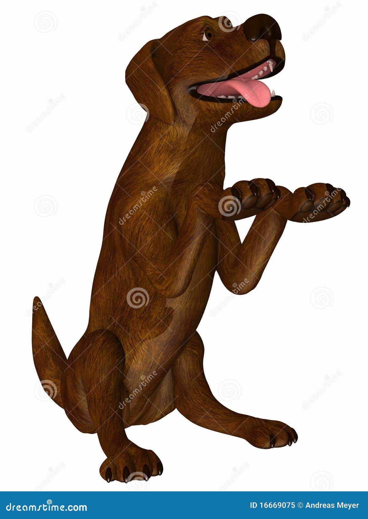 Toon Dog stock illustration. Illustration of beauty, digital - 16669075