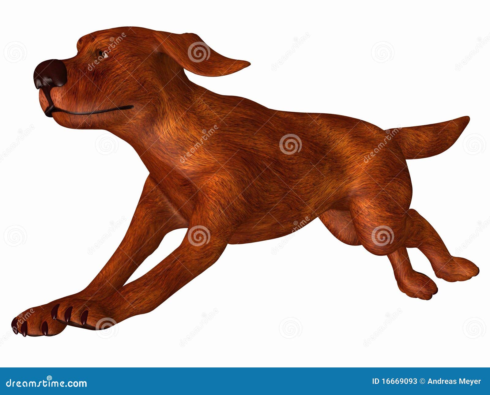 Toon Dog stock illustration. Illustration of model, toon - 16669093