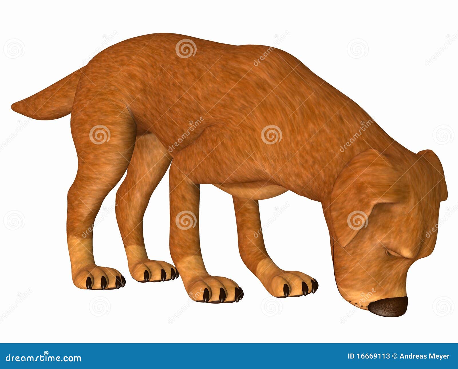 Toon Dog stock illustration. Illustration of style, sweet - 16669113