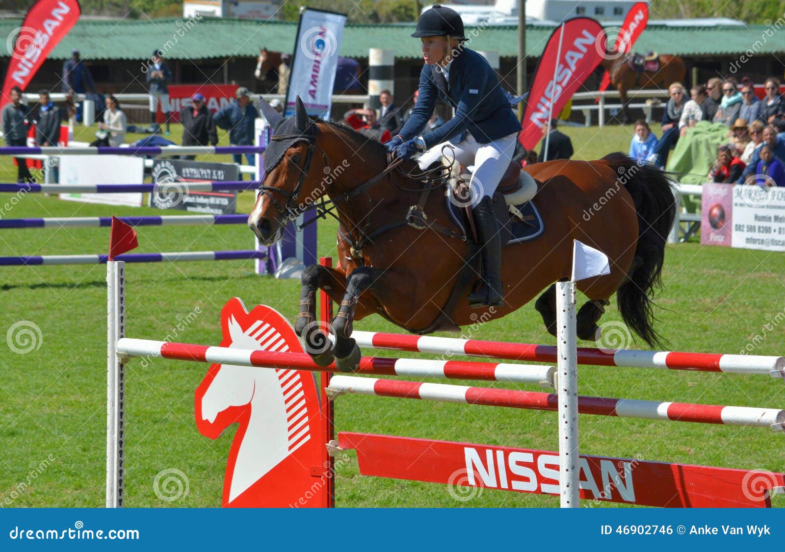 Toon Het Springen Paard En Ruiter Redactionele Foto - Image of haven ...