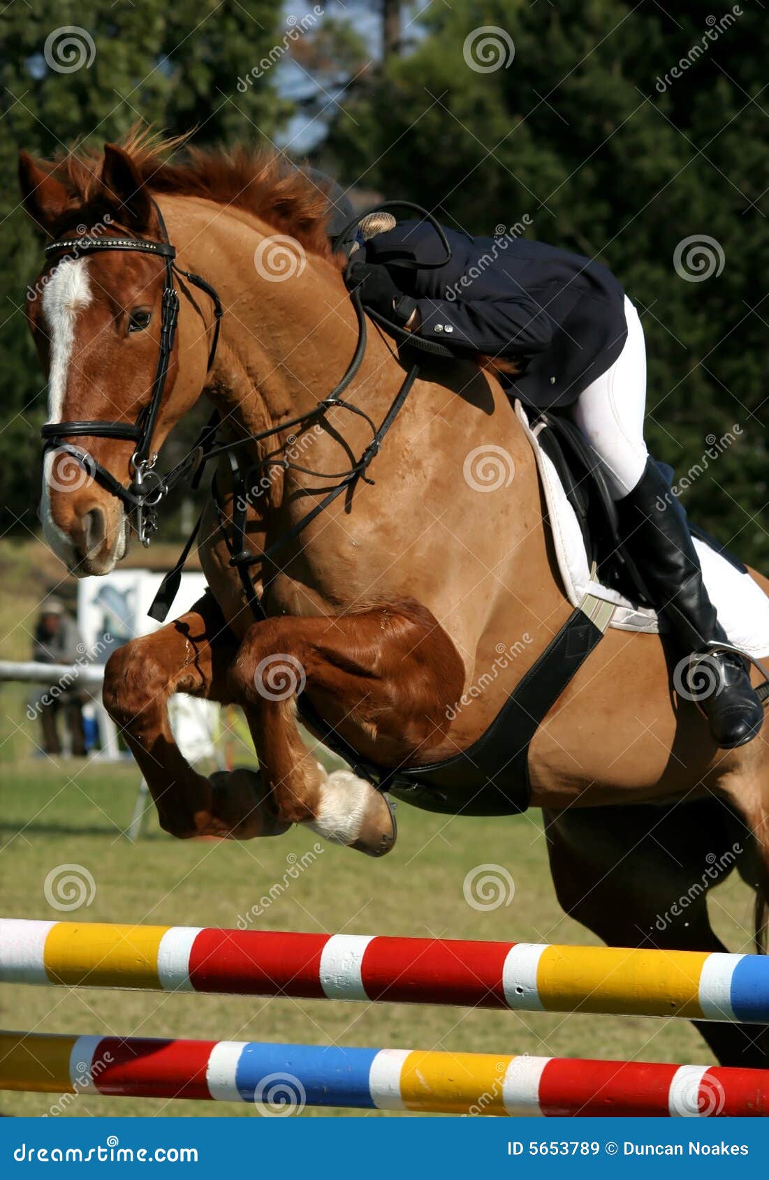Toon Het Springen Paard En Ruiter Stock Afbeelding - Image of bruin ...