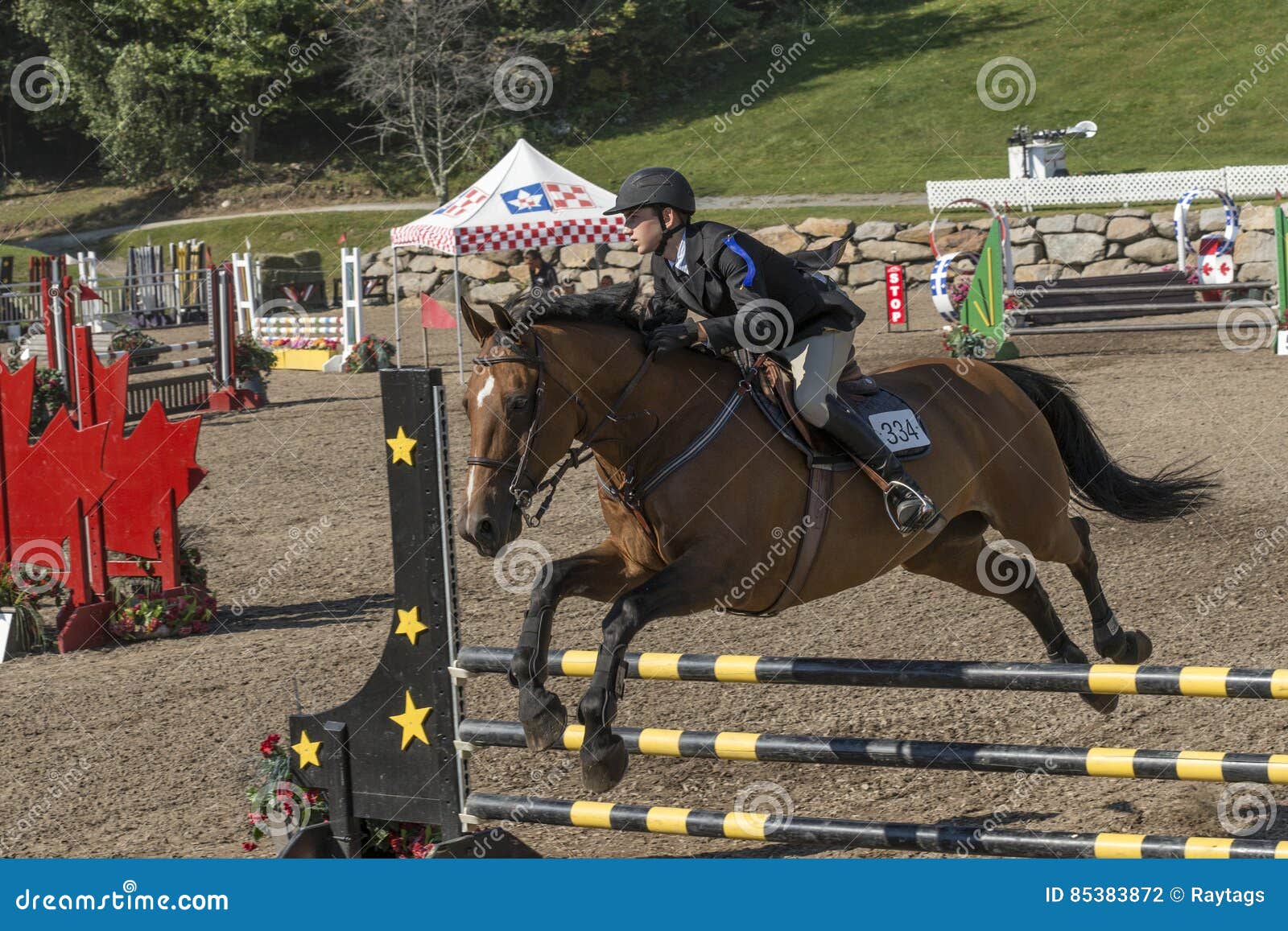 Toon Het Springen Paard En Ruiter Redactionele Fotografie - Image of ...