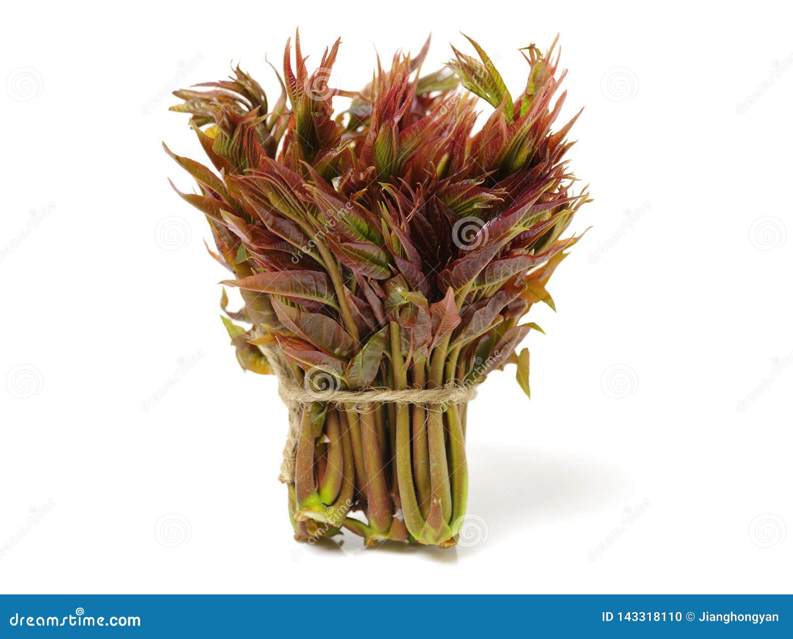 Toona sinensis stock photo. Image of fragrant, purple - 143318110
