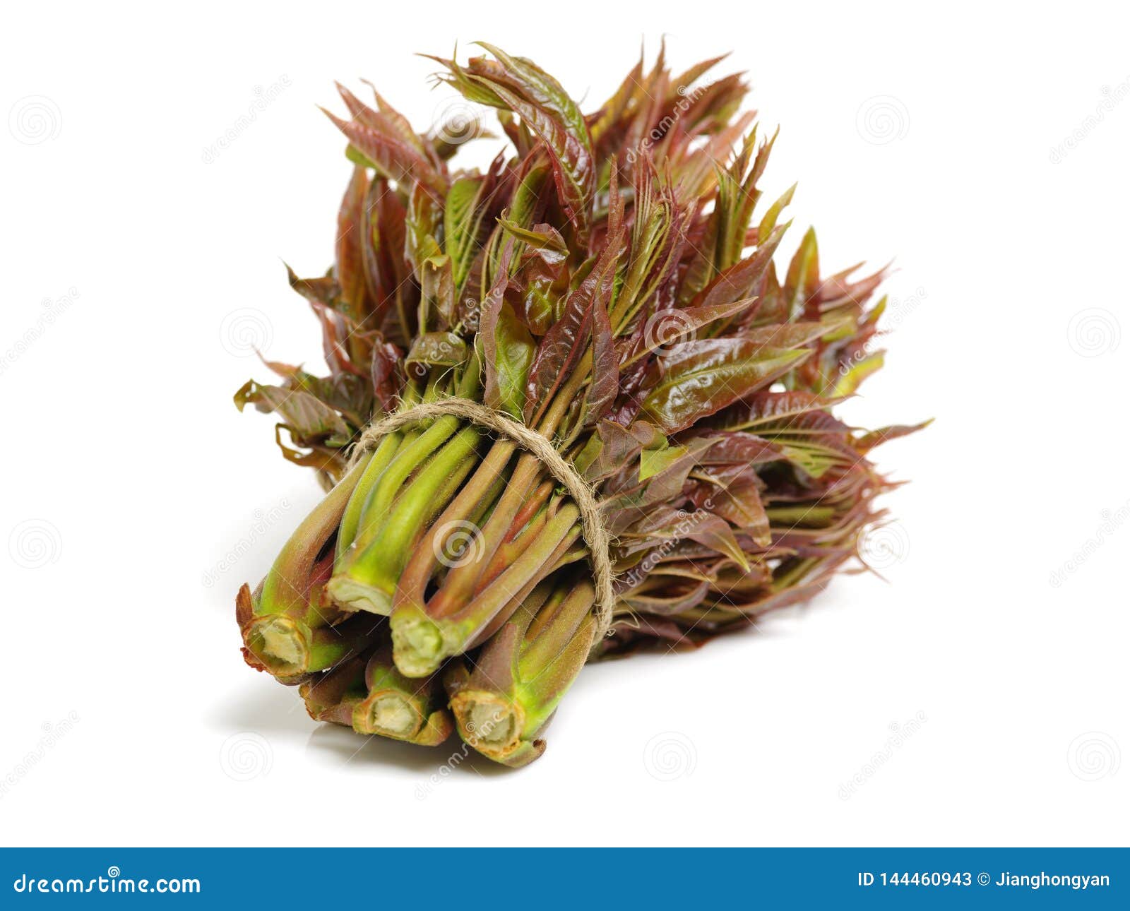 Toona sinensis stock image. Image of delicious, fragrant - 144460943
