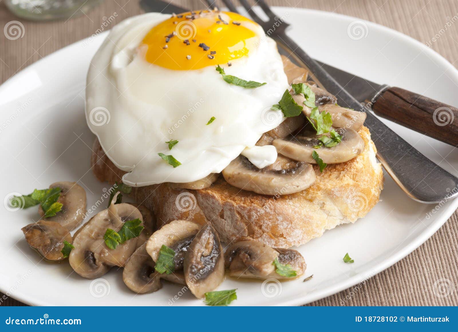 Toost stock foto. Image of geroosterd, culinair, kruid - 18728102