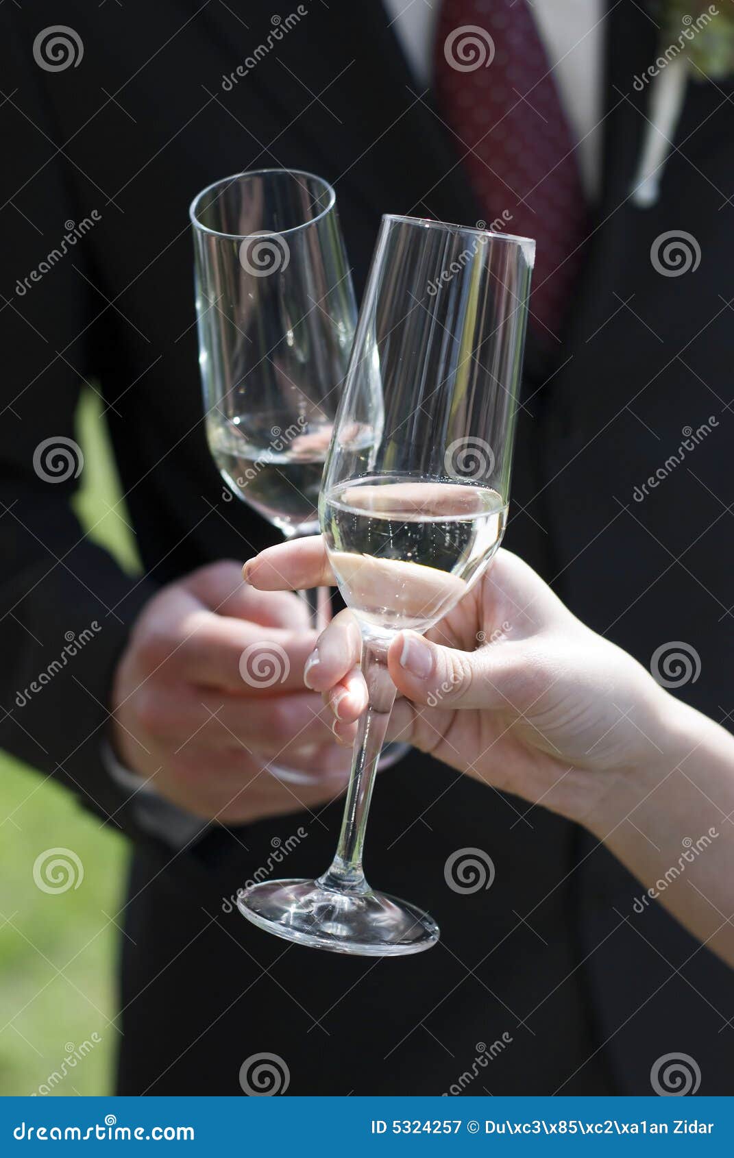 Toost stock afbeelding. Image of mens, alcohol, glas, sluit - 5324257