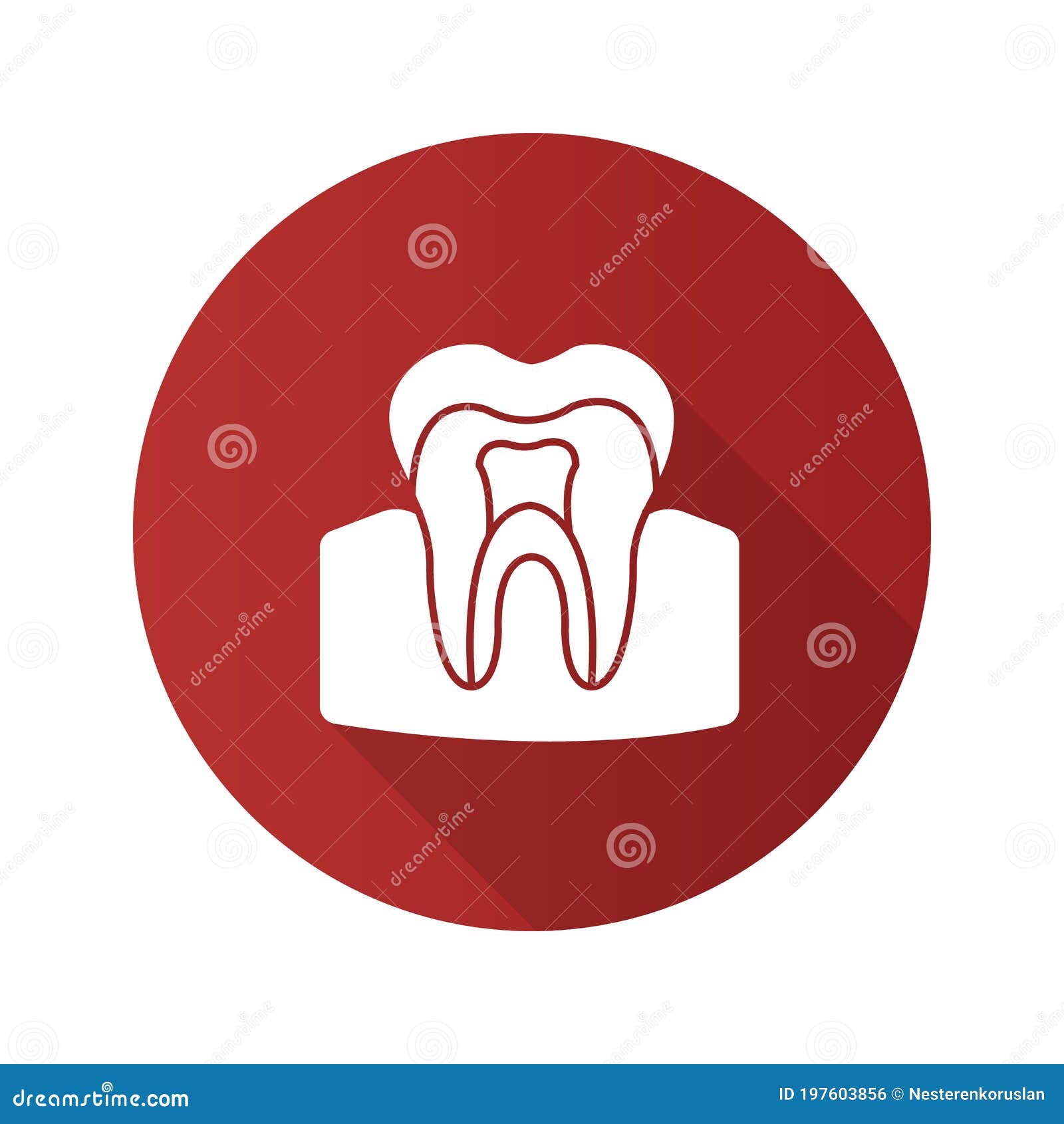 Tooth Anatomical Structure Flat Design Long Shadow Glyph Icon Stock ...