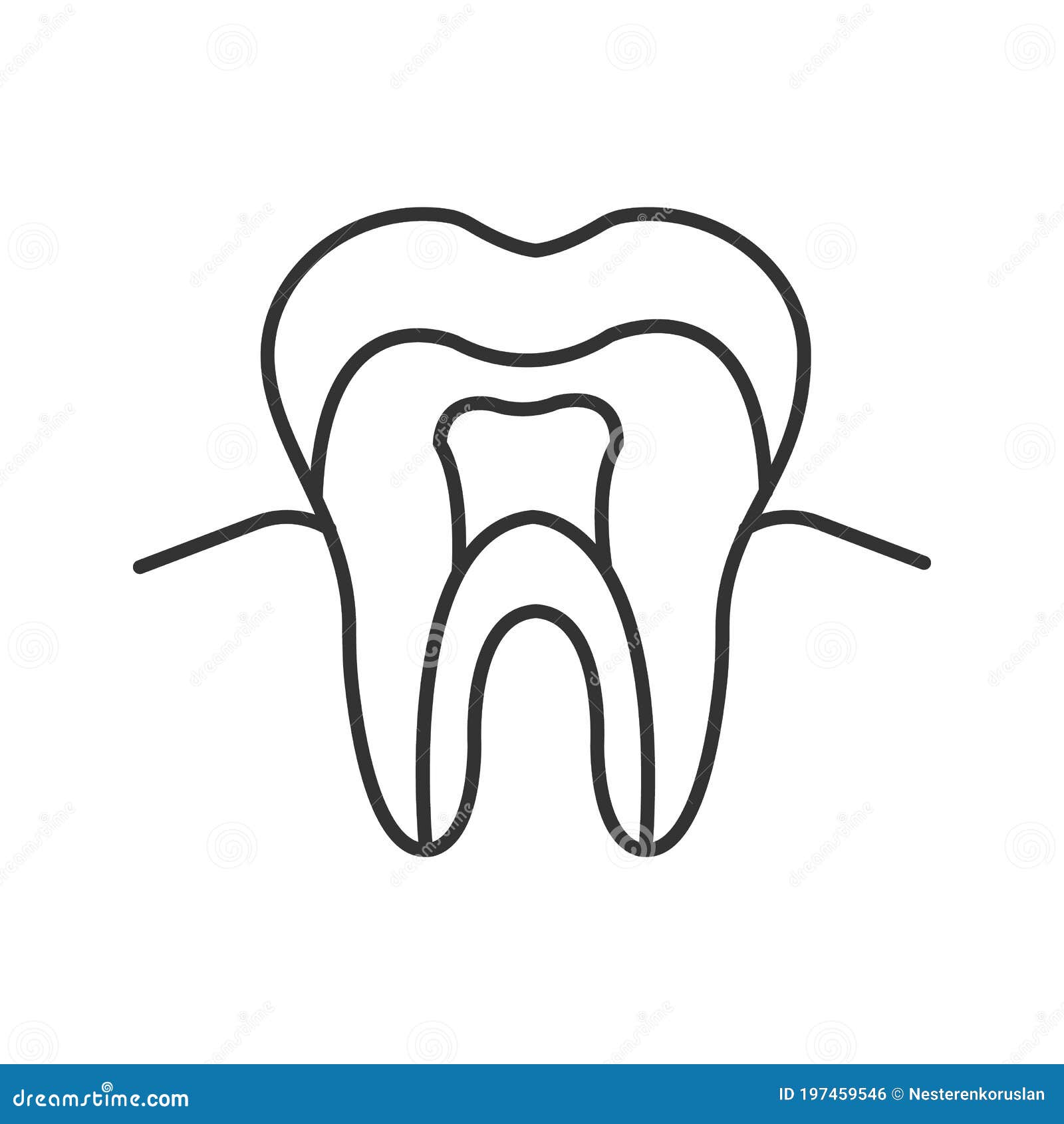 Tooth Anatomical Structure Linear Icon Stock Vector - Illustration of ...