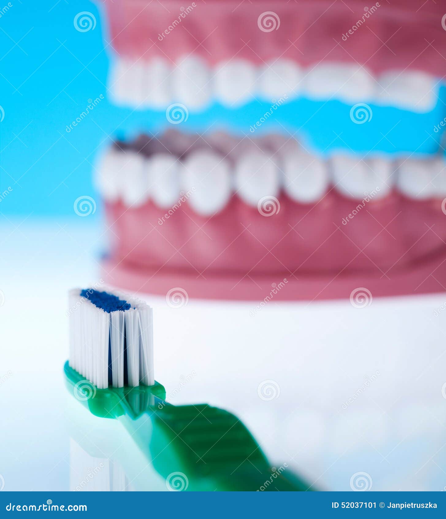 Tooth Anatomy, Bright Colorful Tone Concept Stock Image - Image of bone ...